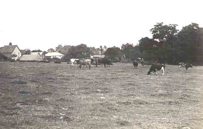 Holt Street in Nonington: a photographic guided tour